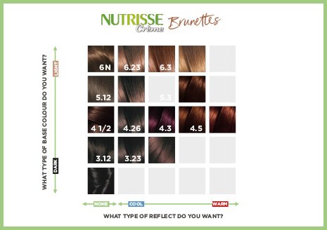 Nutrisse Crème | Oil-enriched Nourishing Hair Dye | Garnier
