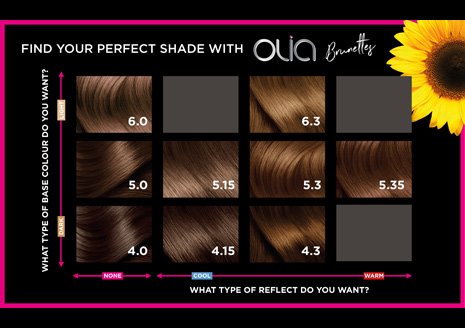 Olia Permanent Hair Colour | 100% Ammonia Free | Garnier UK