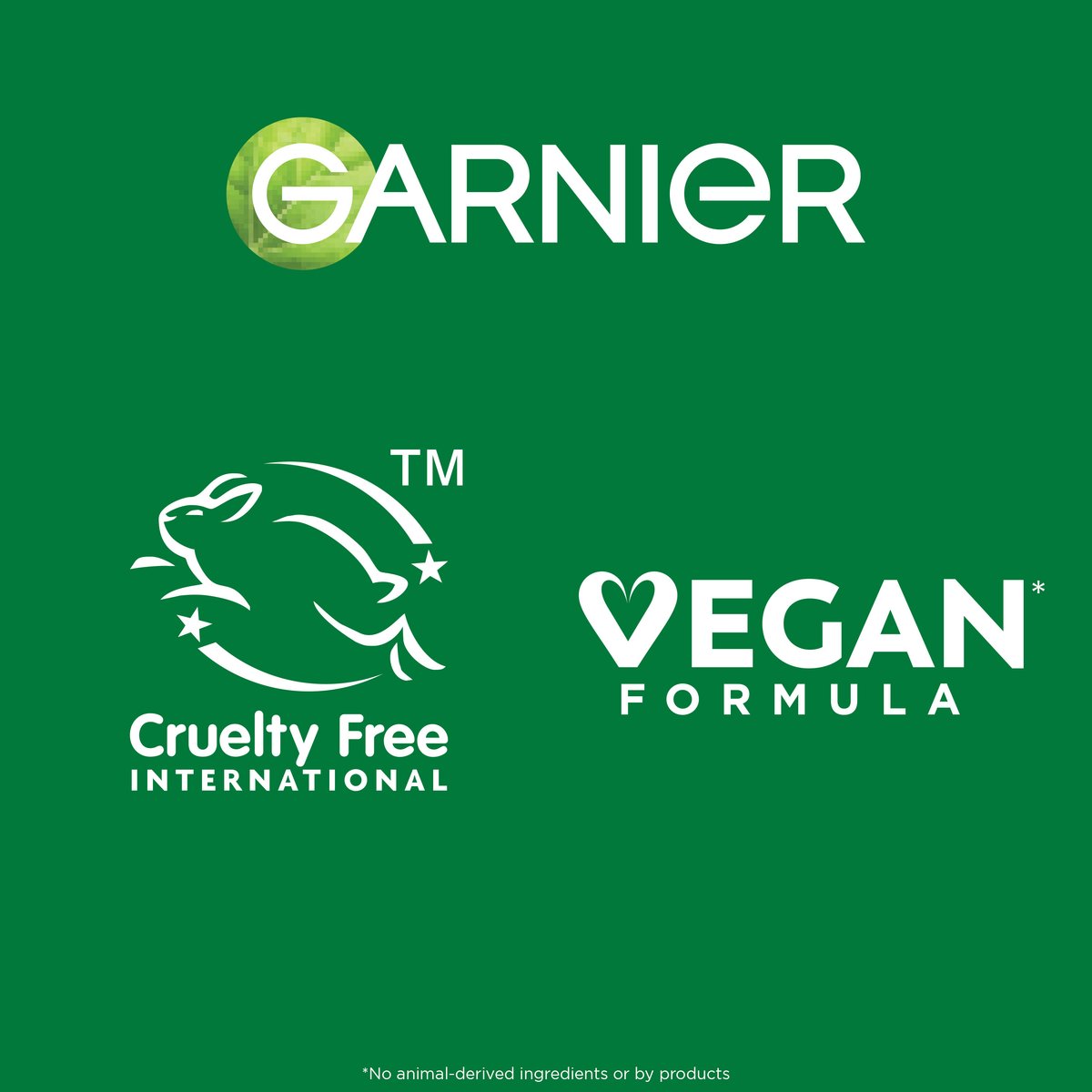 Garnier Salicylic Skin Perfecting Liquid Care